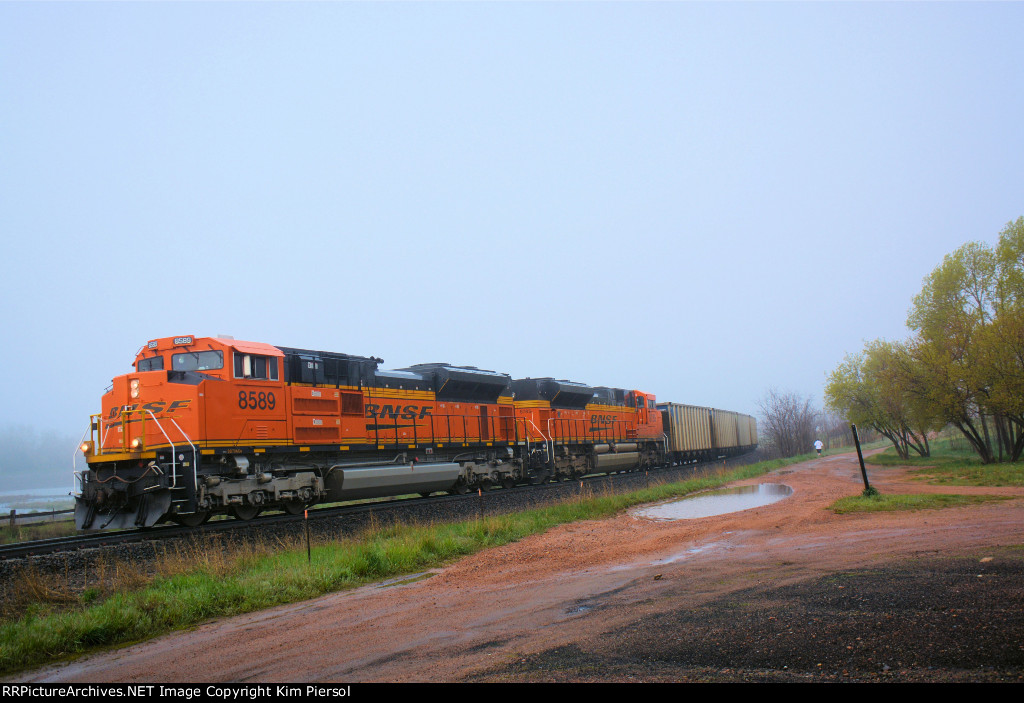 BNSF 8589 8785 Coal Empties